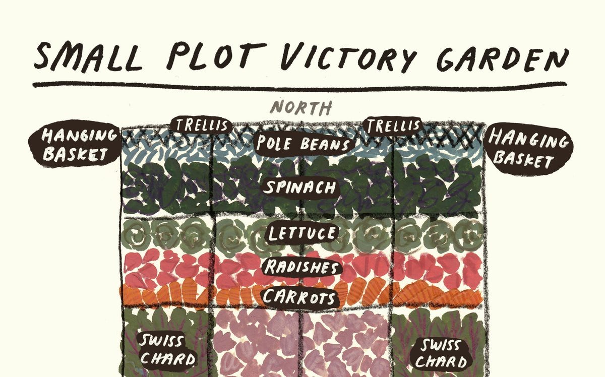 Your Guide to a Small Plot Victory Gardens: Ideas and Tips for Success ...