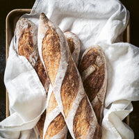 Babette’s Bread | Global Recipes for Everyday Bakers | TouchWood Editions