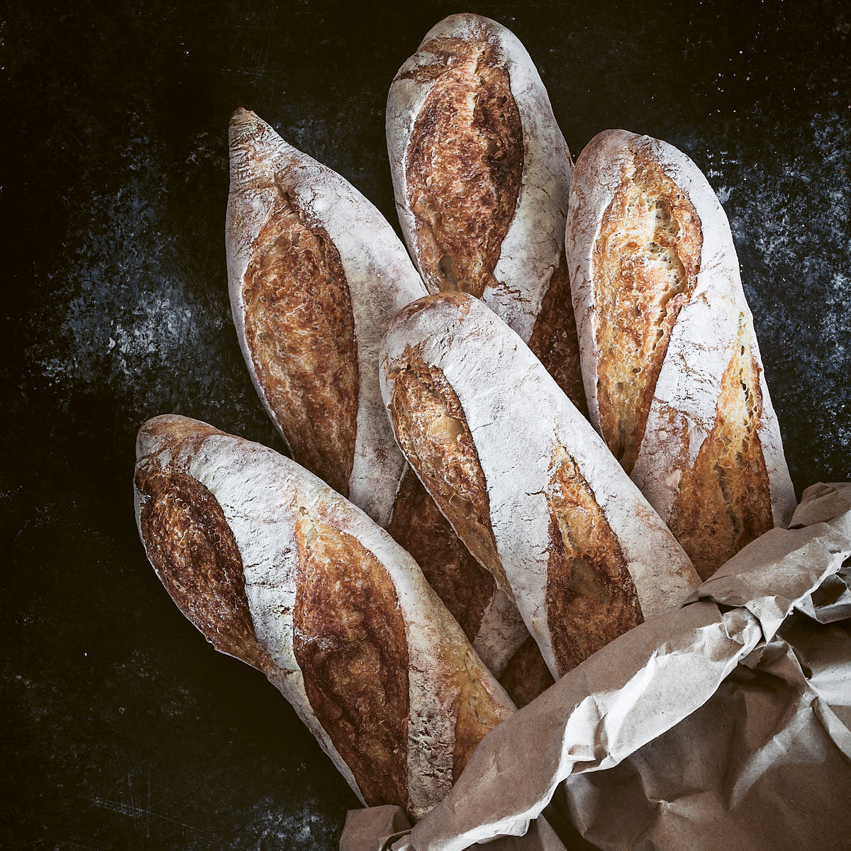 Babette’s Bread | Global Recipes for Everyday Bakers | TouchWood Editions
