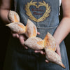 Babette’s Bread | Global Recipes for Everyday Bakers | TouchWood Editions