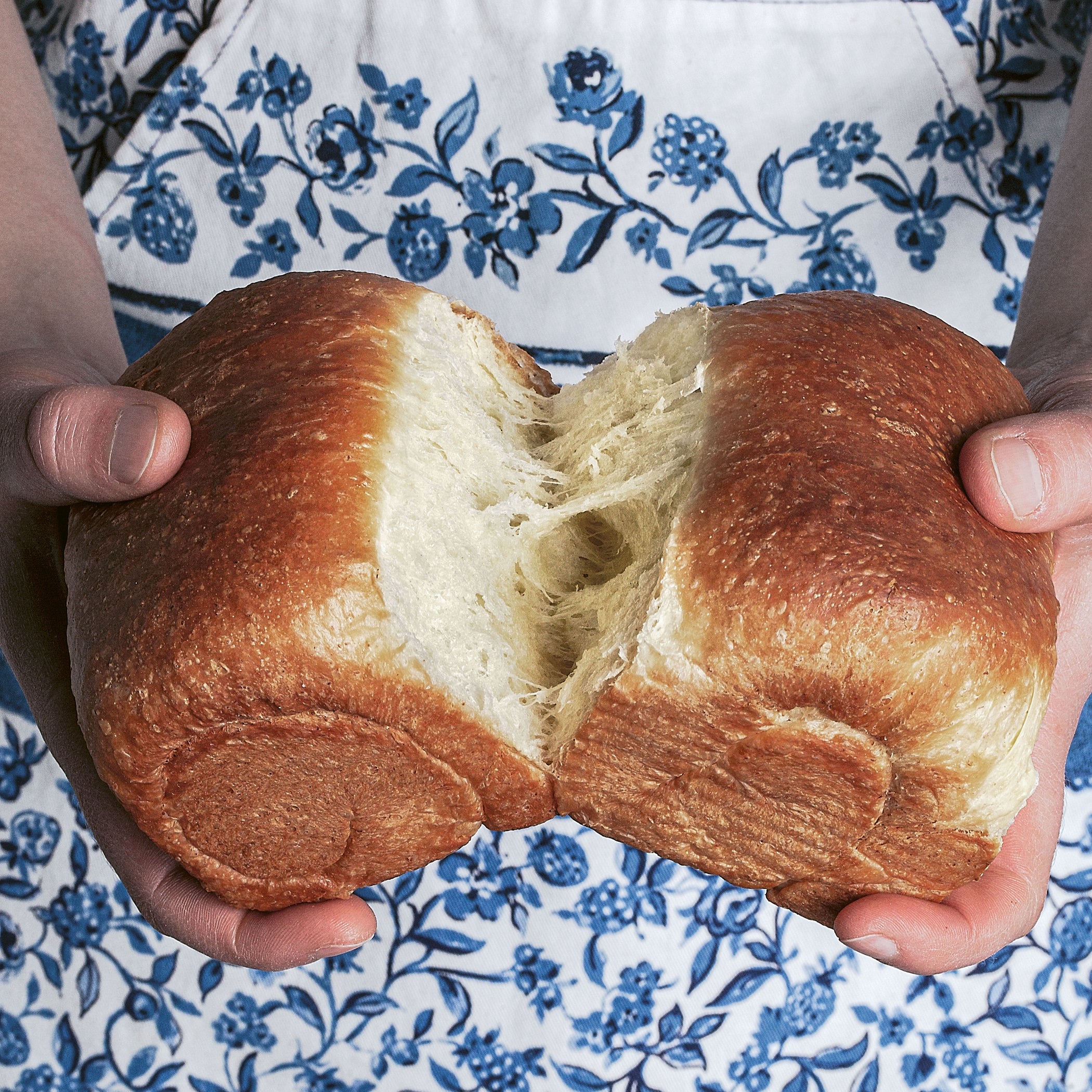 Babette’s Bread | Global Recipes for Everyday Bakers | TouchWood Editions
