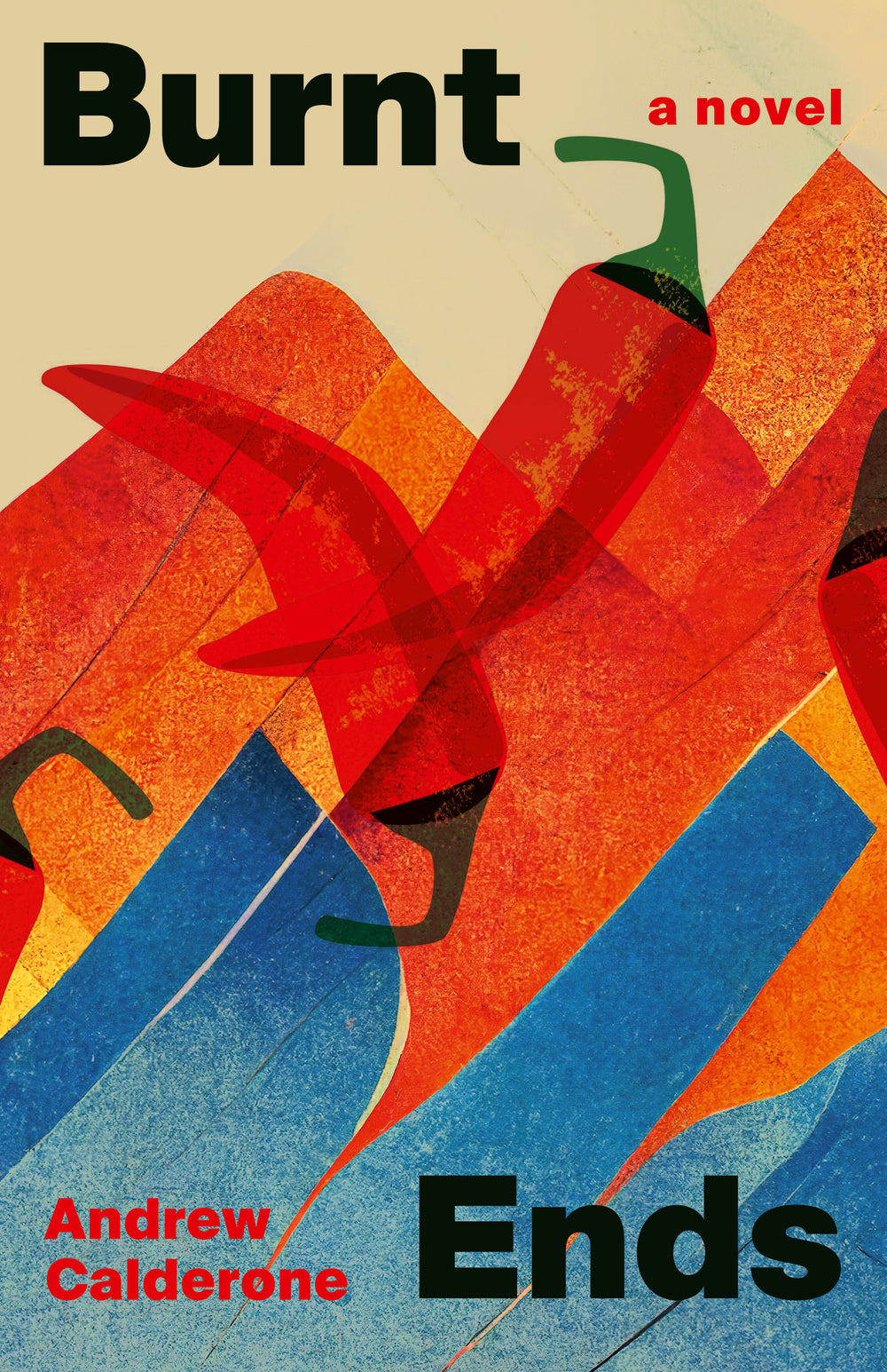 Burnt Ends | TouchWood Editions