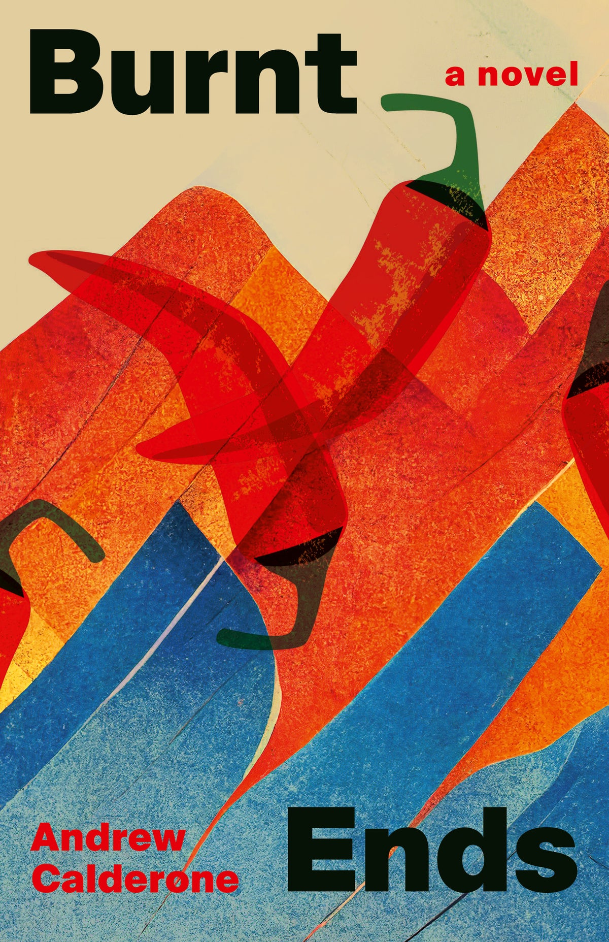 Burnt Ends | TouchWood Editions