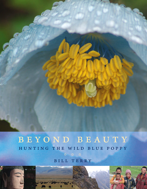 Beyond Beauty | A Journey to the Roof of the World | TouchWood Editions