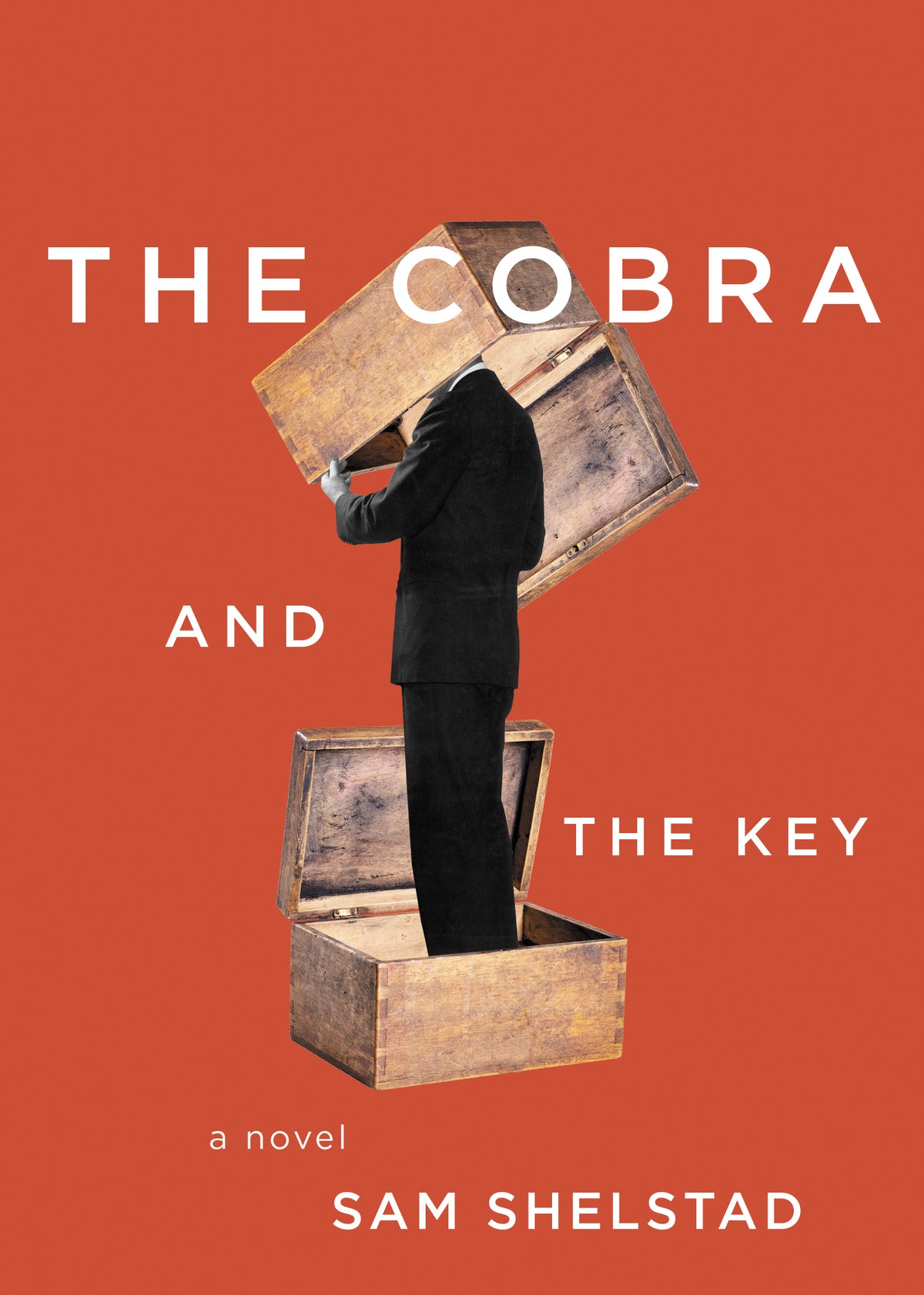 The Cobra and the Key | Satirical Writing Guide | Sam Shelstad ...