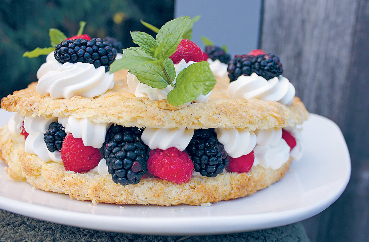 Deerholme Foraging Cookbook | Wild Food Recipes from BC | TouchWood ...